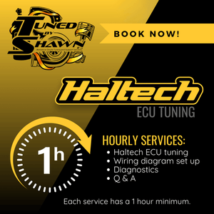 Haltech ECU Remote Tuning by the Hour | Tuned by Shawn