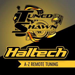 Remote Tuning Services | Haltech ECU Tuning at Tuned by Shawn