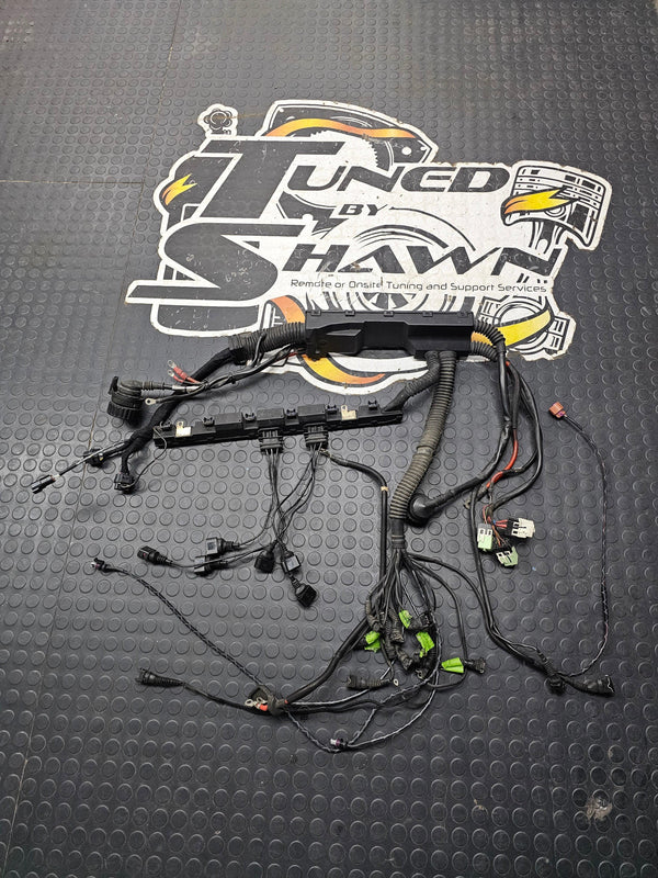 Haltech - PNP BMW E36 OBD1/OBD2 - ENGINE HARNESS CONVERSION - Tuned by ...