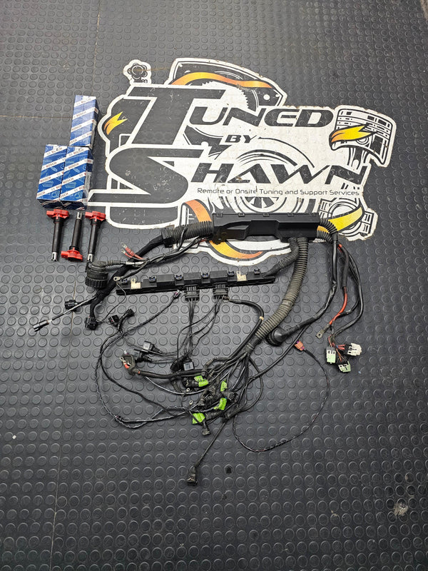 Haltech - PNP BMW E36 OBD1/OBD2 - ENGINE HARNESS CONVERSION